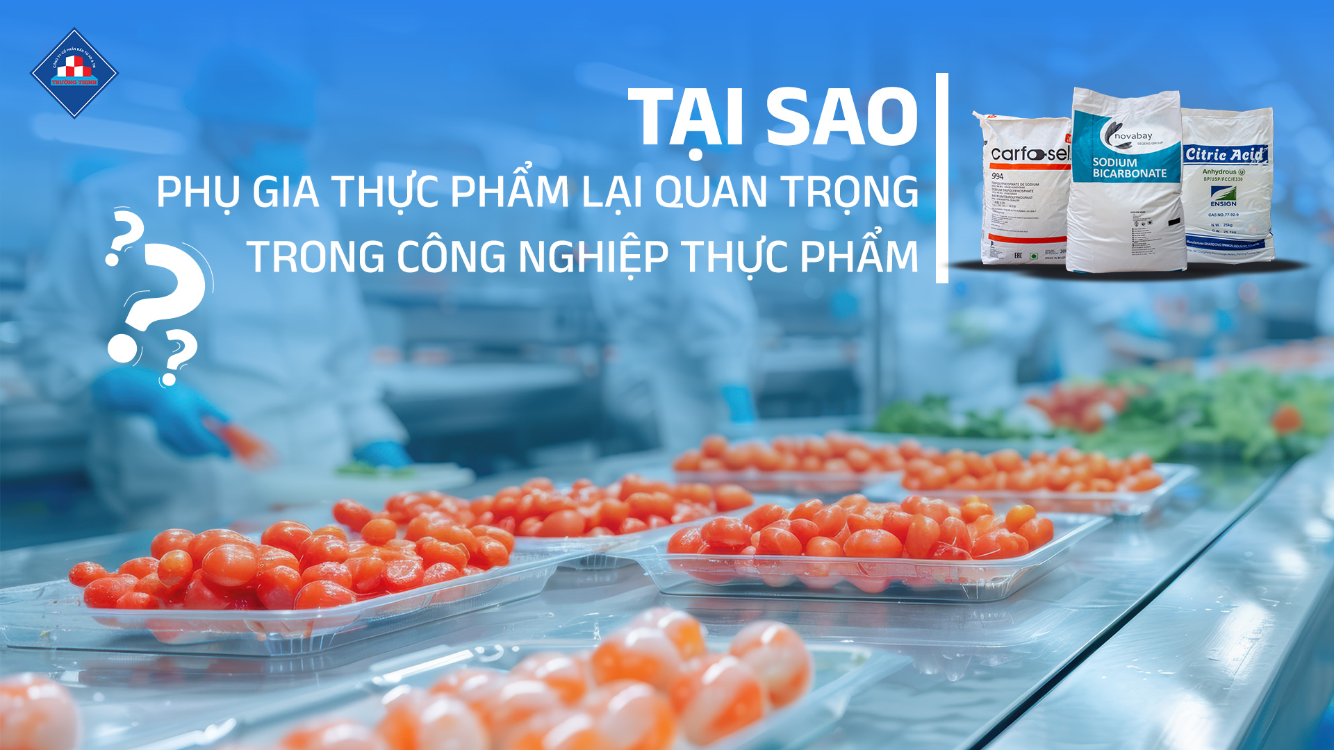 Tại Sao Phụ Gia Thực Phẩm Lại Quan Trọng Trong Ngành Công Nghiệp